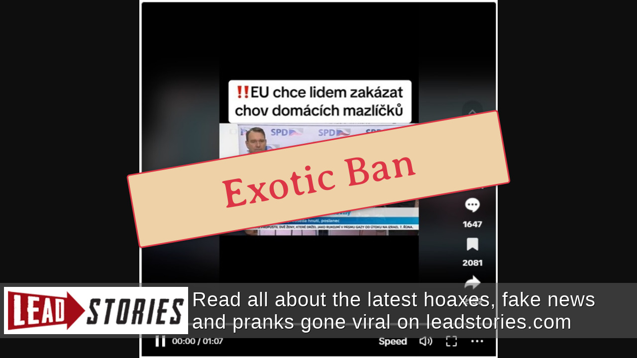 Fact Check: The European Union Does NOT Want To Ban People From Having ...